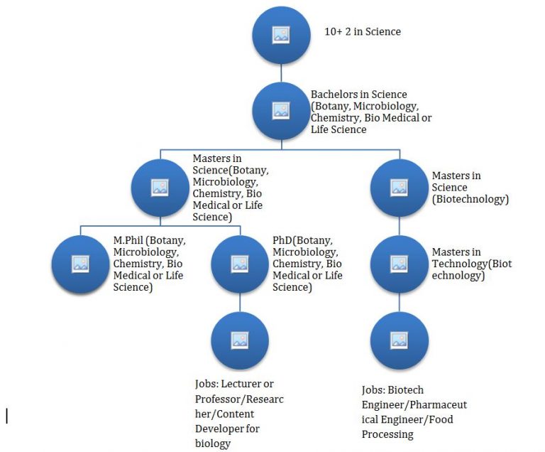 How to Make the Most in a Career in Biology - iDreamCareer