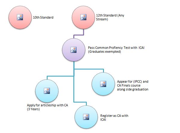 Tips to Establish a Successful Career as a Chartered Accountant
