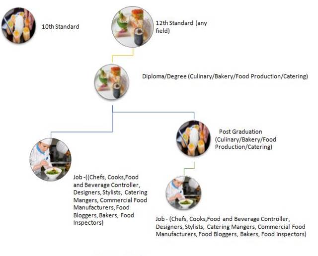 Explore a Career in Culinary Arts - iDreamCareer