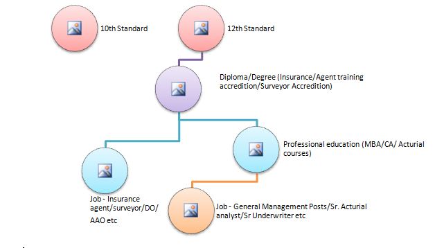 A Comprehensive Guide for a Career in Insurance - iDreamCareer