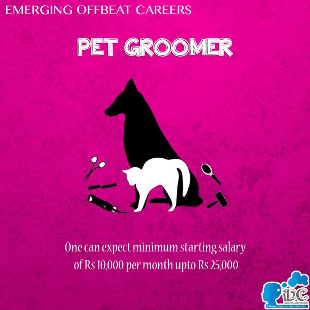 Top 5 Offbeat Career Options in India - iDreamCareer