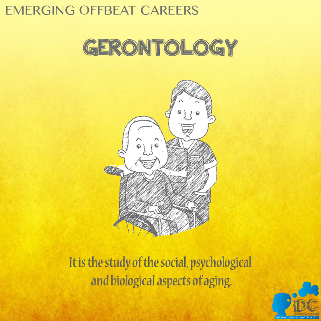 Top 5 Offbeat Career Options in India - iDreamCareer