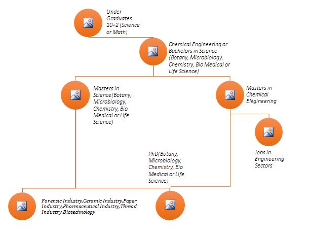 Build an Impactful Career in Chemistry: Complete Guide - iDreamCareer