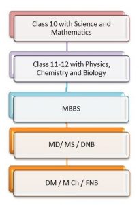 How to Become a Doctor in India - A Comprehensive Guide
