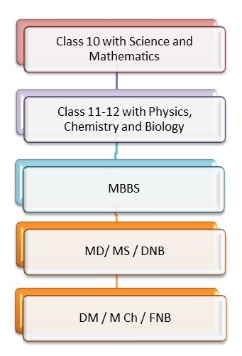 How To Become A Doctor In India - The Comprehensive #1 Guide