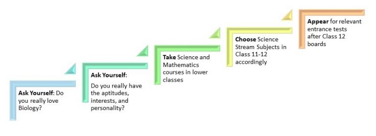 How to Become a Doctor in India - A Comprehensive Guide